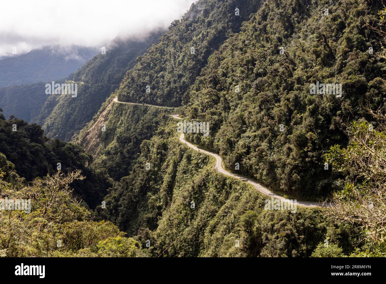 Driving the famous death road, the "Camino de la Muerte", in the ...