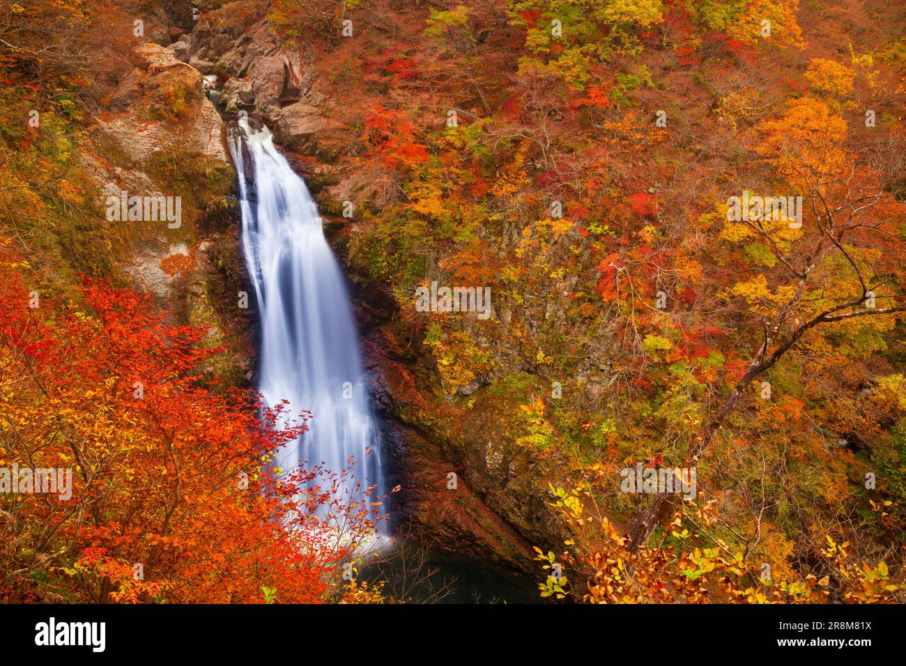 Autumn leaves at Akiu Otaki Waterfall Stock Photo - Alamy