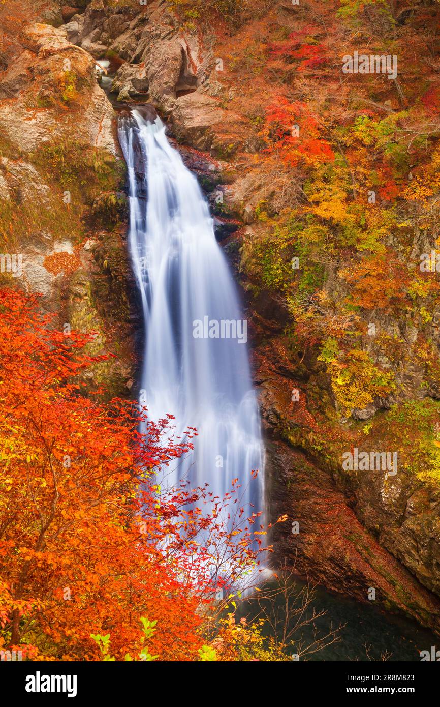 Sendai japan autumn hi-res stock photography and images - Alamy