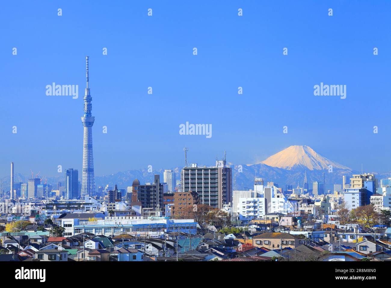 Tokyo sky tree and Mt Fuji Stock Photo - Alamy