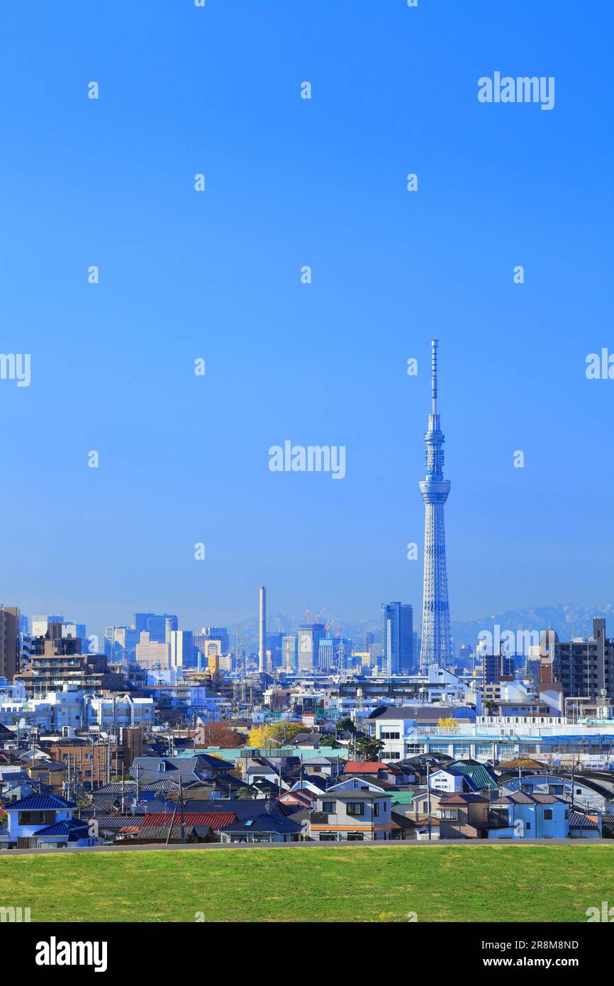 Tokyo Sky Tree Stock Photo - Alamy