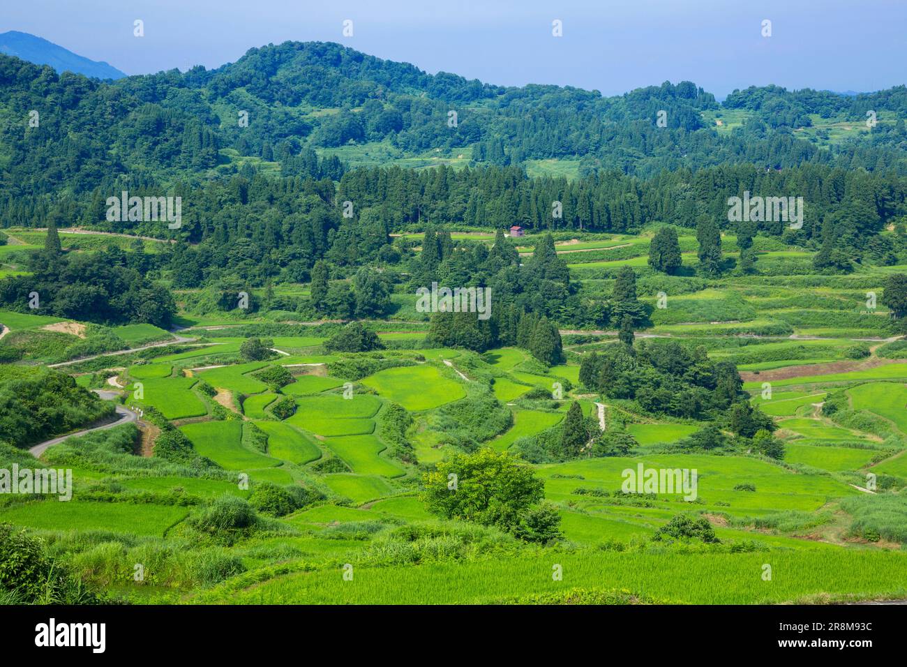 Rice terraces of Hoshitoge Stock Photo - Alamy