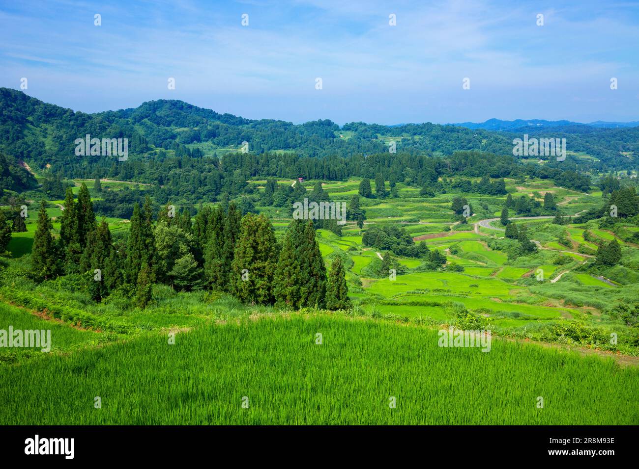 Rice terraces of Hoshitoge Stock Photo - Alamy