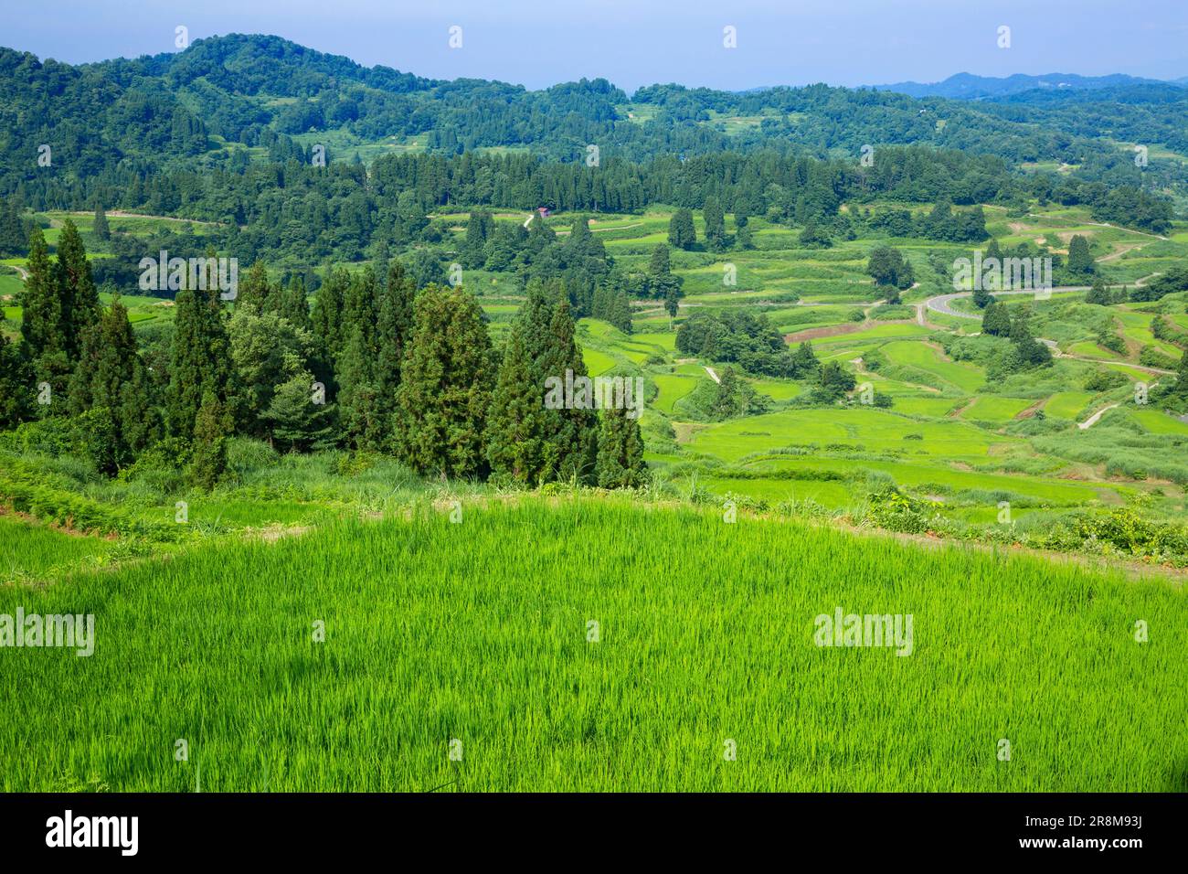 Rice terraces of star pass hi-res stock photography and images - Alamy