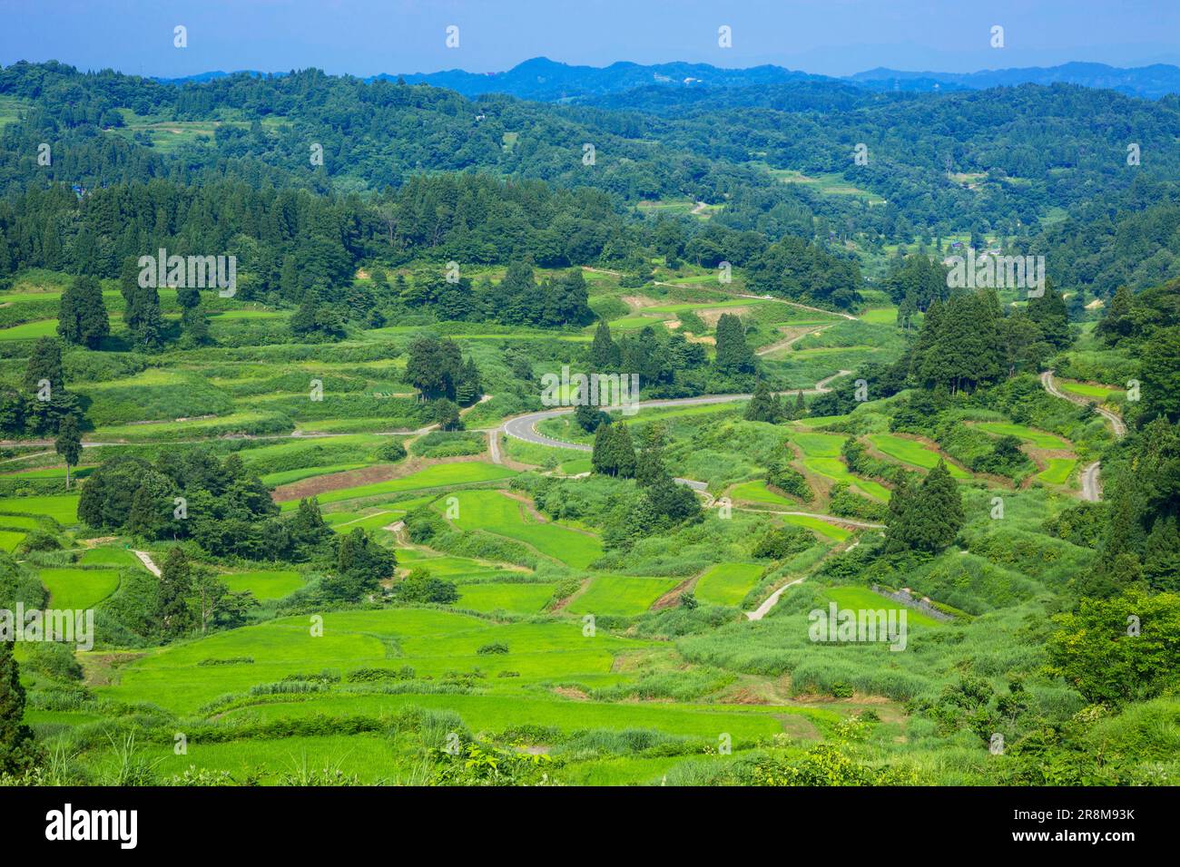 Rice terraces of Hoshitoge Stock Photo - Alamy