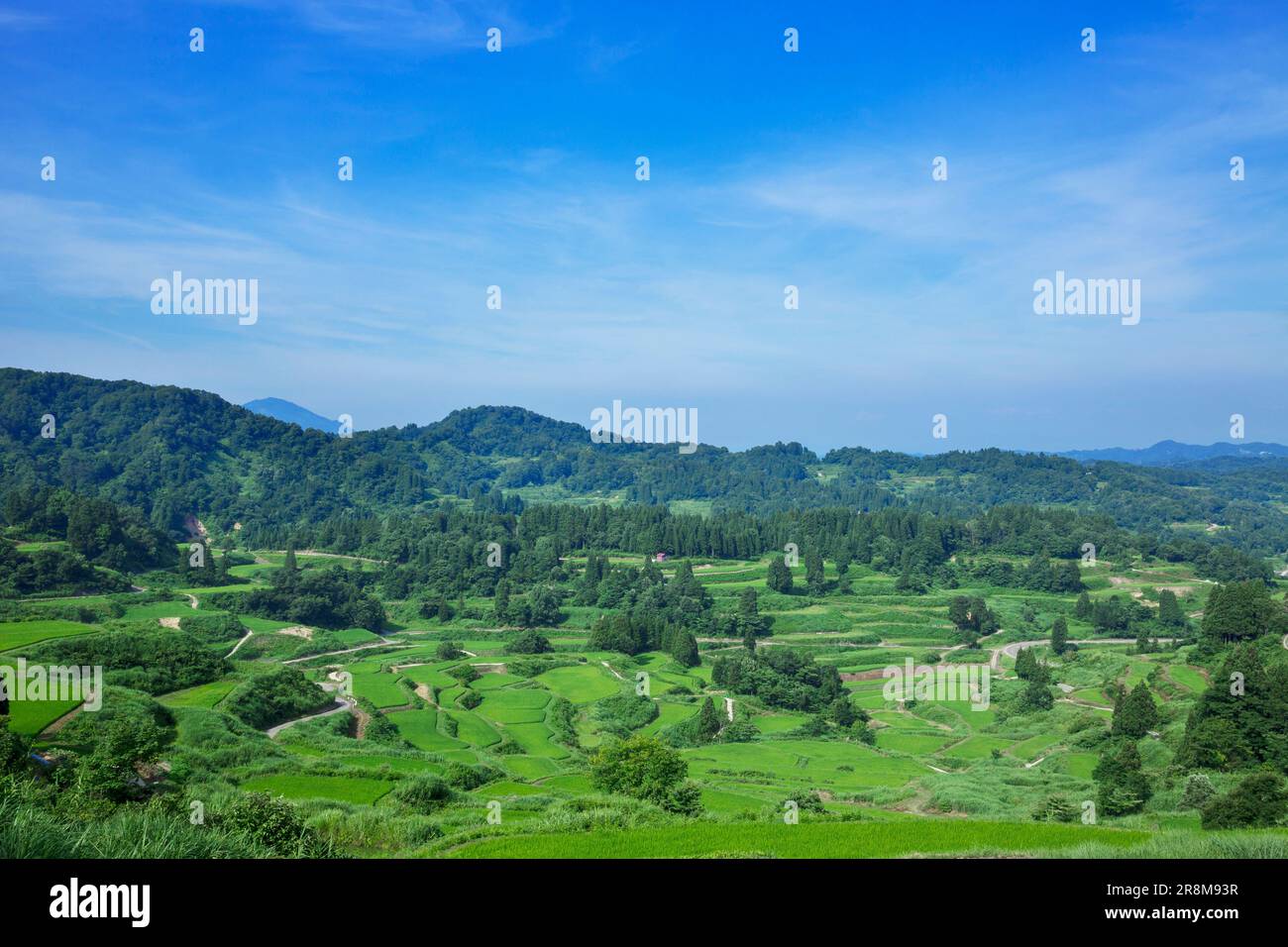 Rice terraces of Hoshitoge Stock Photo - Alamy
