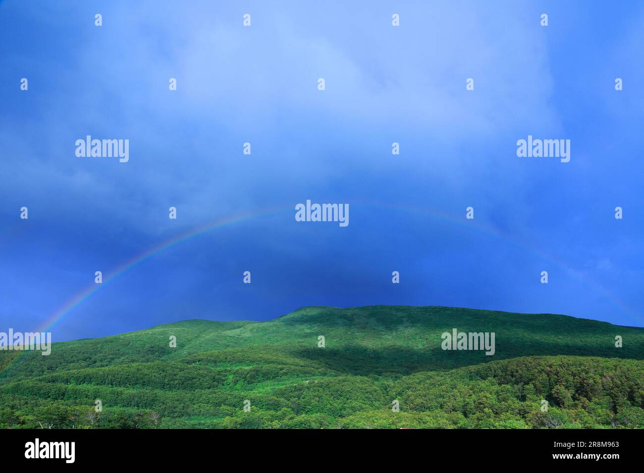 Rainbow 100 hi-res stock photography and images - Alamy