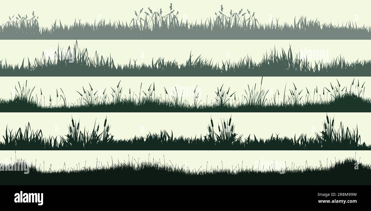 Meadow silhouettes with grass, plants on plain. Panoramic summer lawn ...