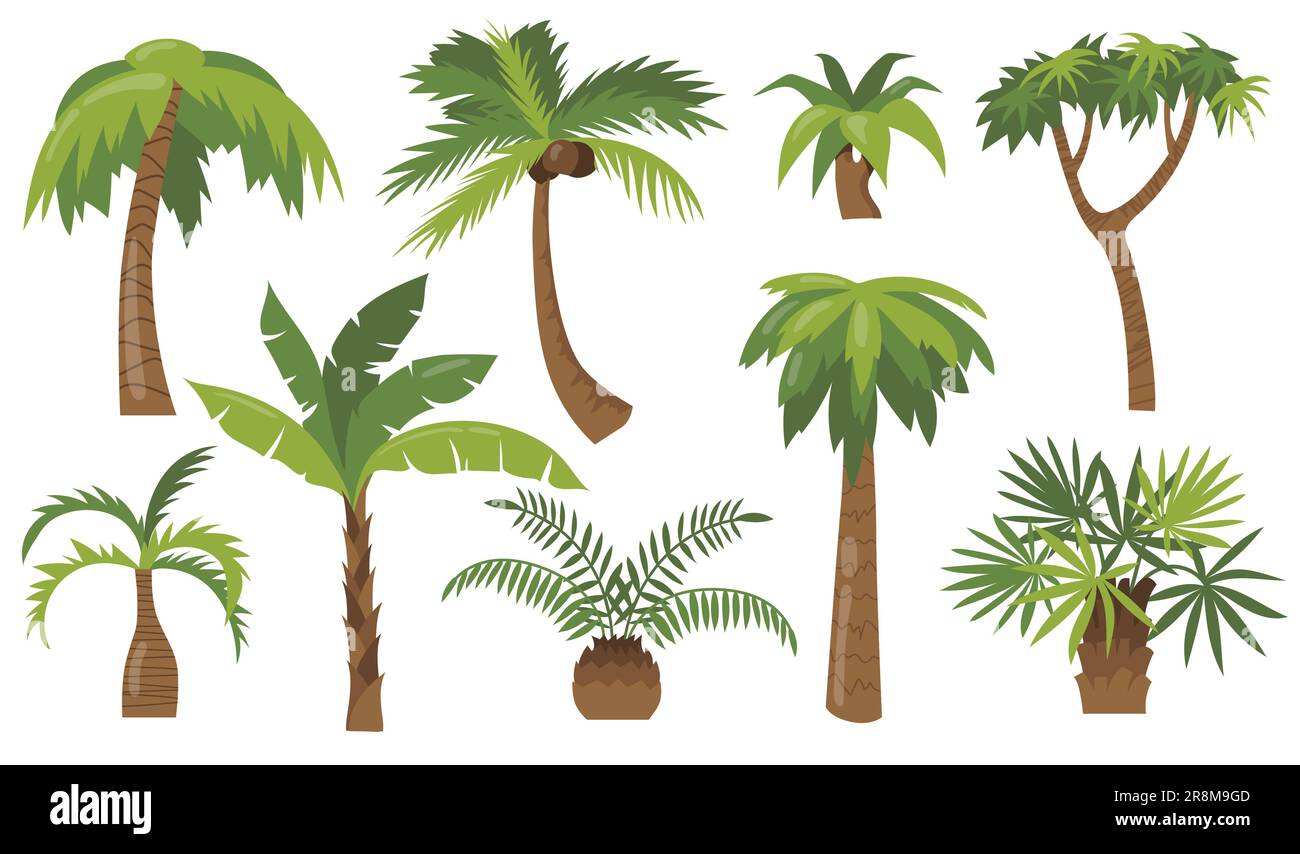 Palm trees miami icon Stock Vector Images - Alamy