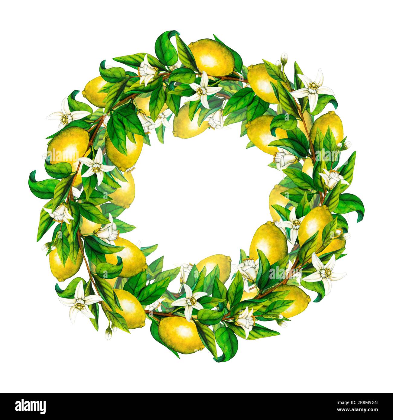 Lemon Tree Branch Clip Art