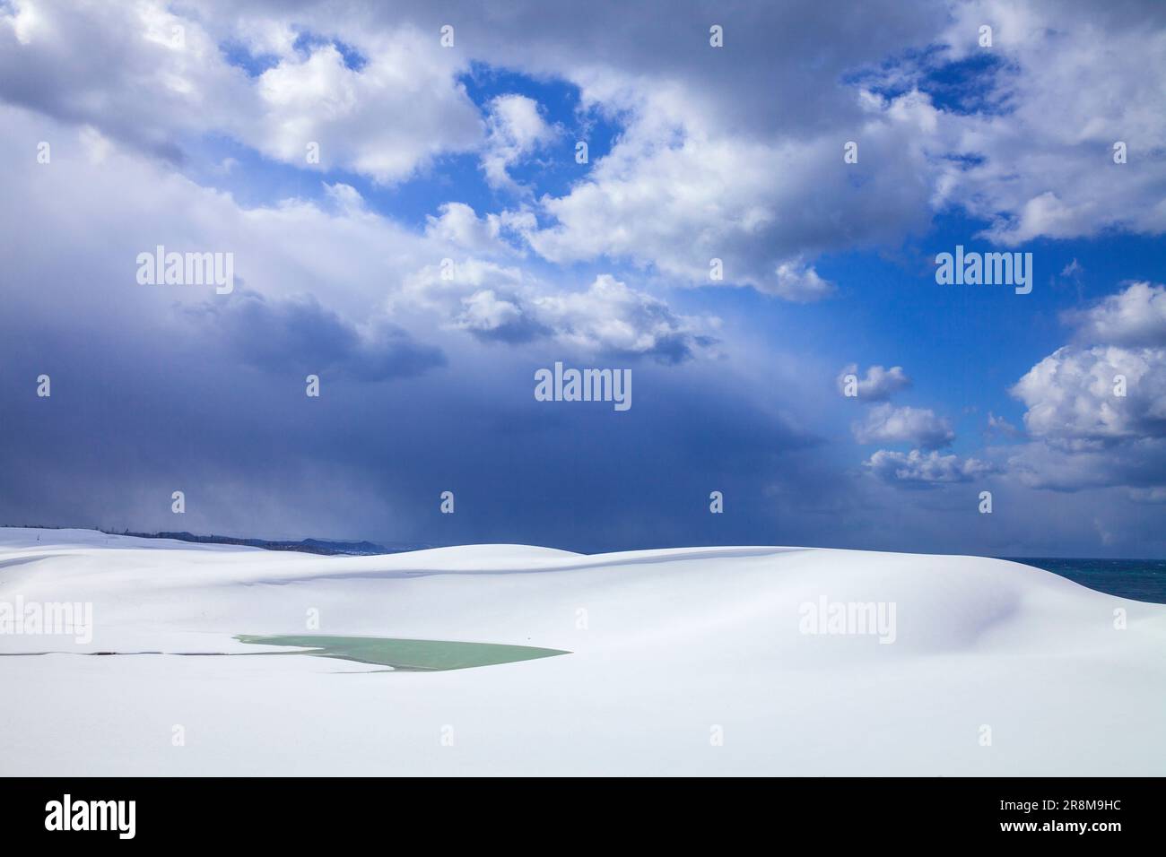 Tottori Sand Dunes and Oasis in the snow Stock Photo - Alamy