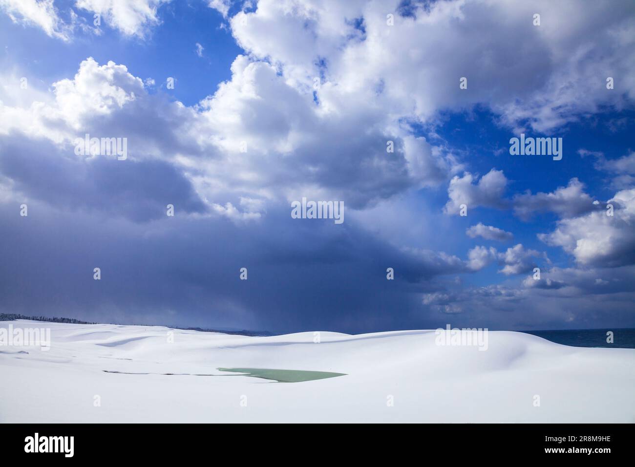 Tottori Sand Dunes and Oasis in the snow Stock Photo - Alamy