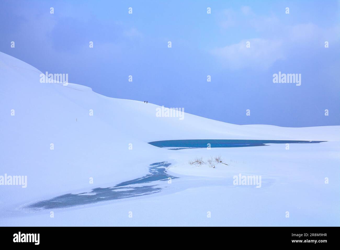 Tottori Sand Dunes and Oasis in the snow Stock Photo - Alamy