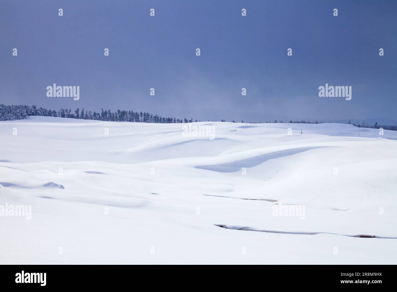 Tottori sand dunes under snow Stock Photo - Alamy