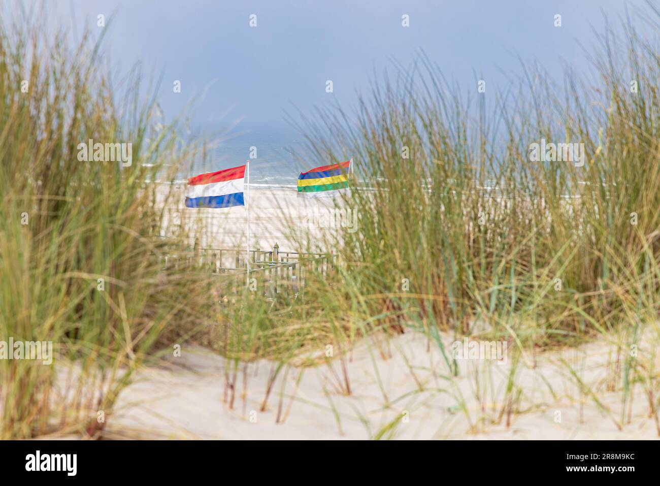 Landscape with sand dunes and flags of Terscheling at nature reserve ...