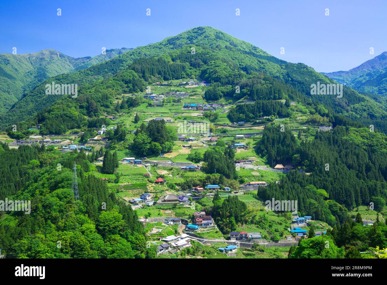 Ochiai hi-res stock photography and images - Alamy