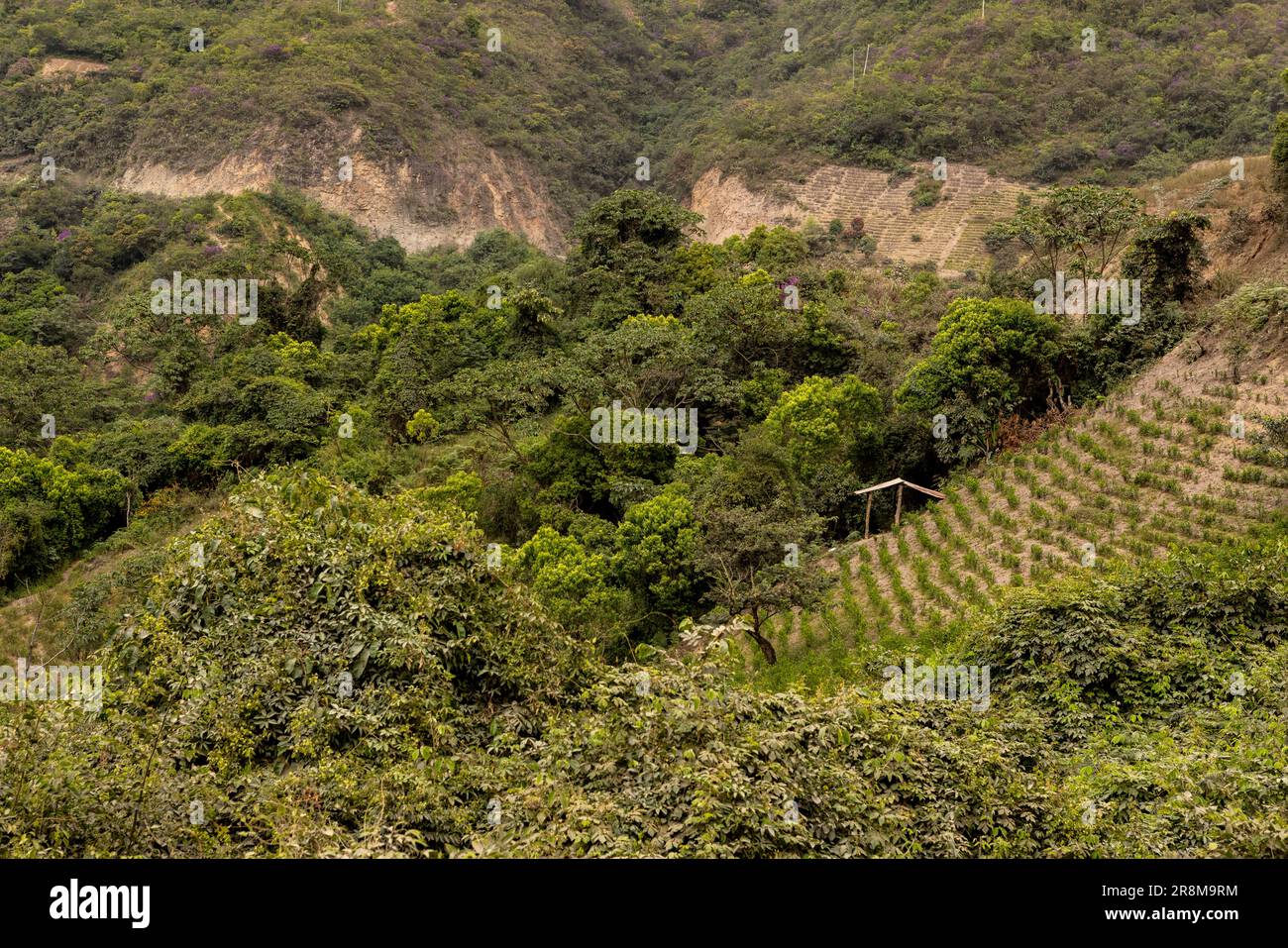 Scenic drive through the remote Bolivian Andes: passing small ...