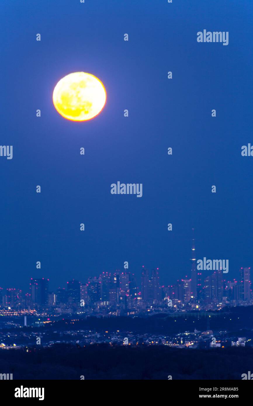 Full moon and the night view of the Tokyo Sky Tree and a group of ...