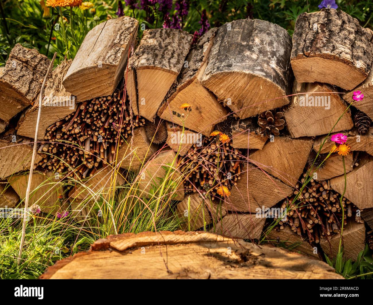 Bug hotel made from stacked logs, with sticks and fir cones placed in the gaps Stock Photo - Alamy