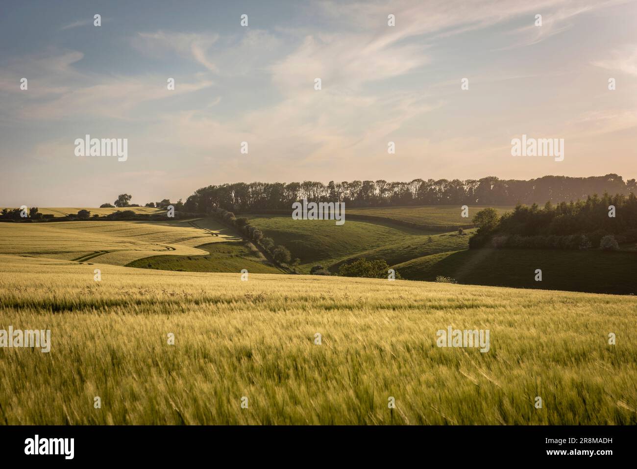 Huggate Dykes Bronze Age earthwork dykes and ditches in the Yorkshire ...