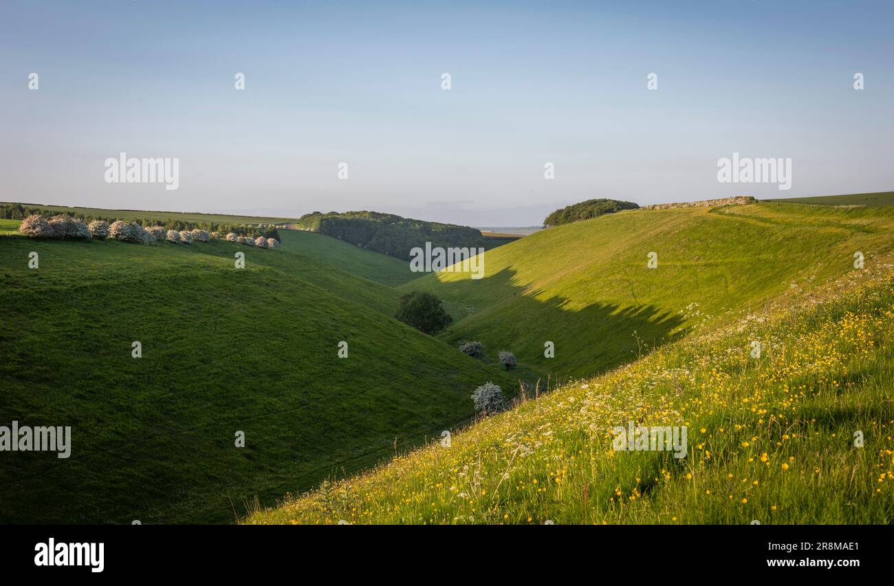 Huggate Dykes Bronze Age earthwork dykes and ditches in the Yorkshire ...