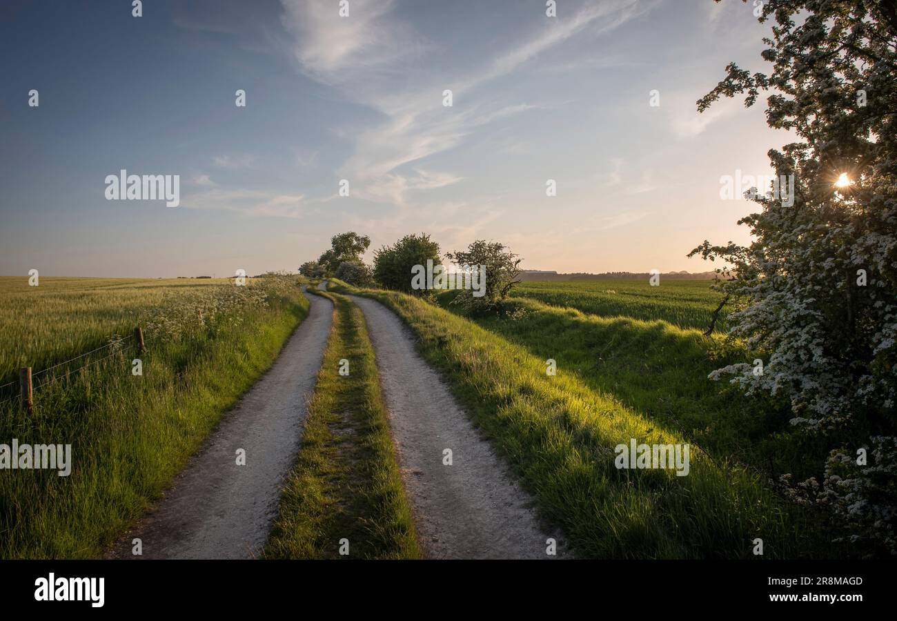 Huggate Dykes Bronze Age earthwork dykes and ditches in the Yorkshire ...