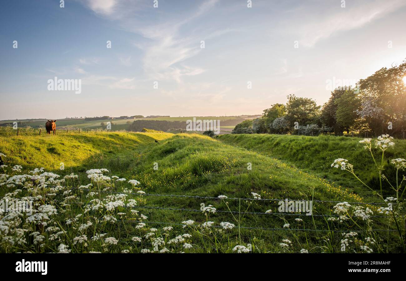 Huggate Dykes Bronze Age earthwork dykes and ditches in the Yorkshire ...
