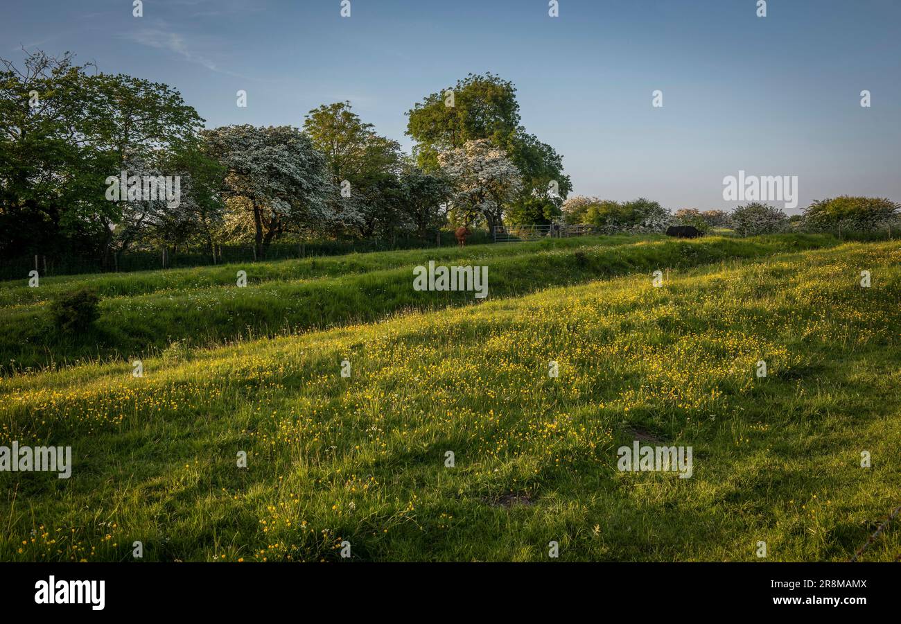 Huggate Dykes Bronze Age earthwork dykes and ditches in the Yorkshire ...