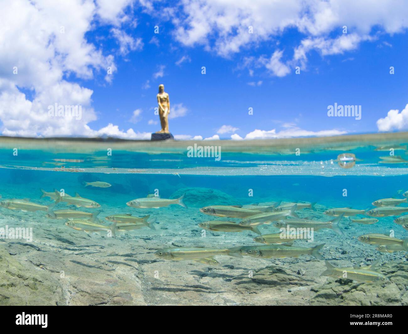 Lake Tazawa with Japanese dace and the statue of Tatsuko Stock Photo ...