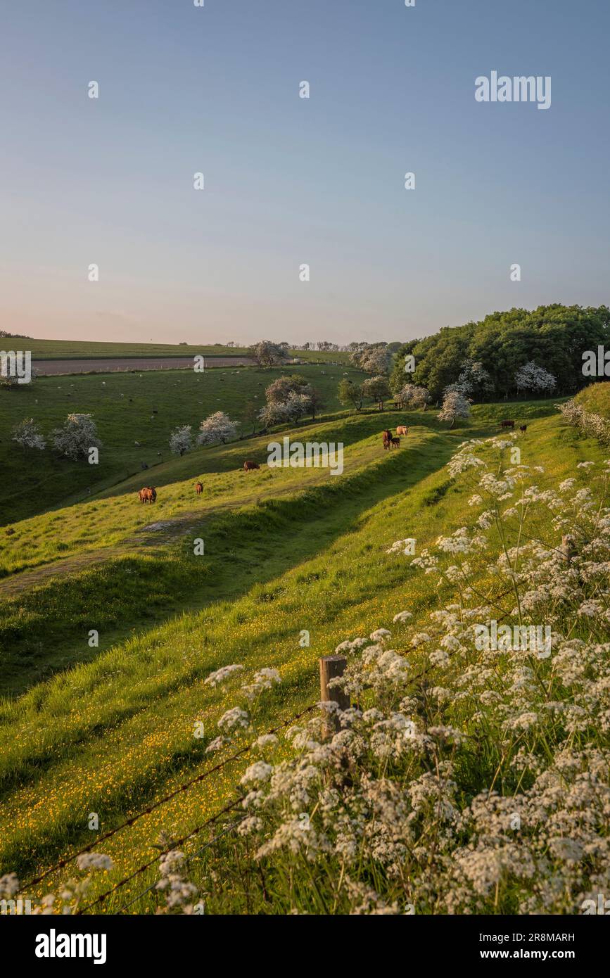 Huggate Dykes Bronze Age earthwork dykes and ditches in the Yorkshire ...