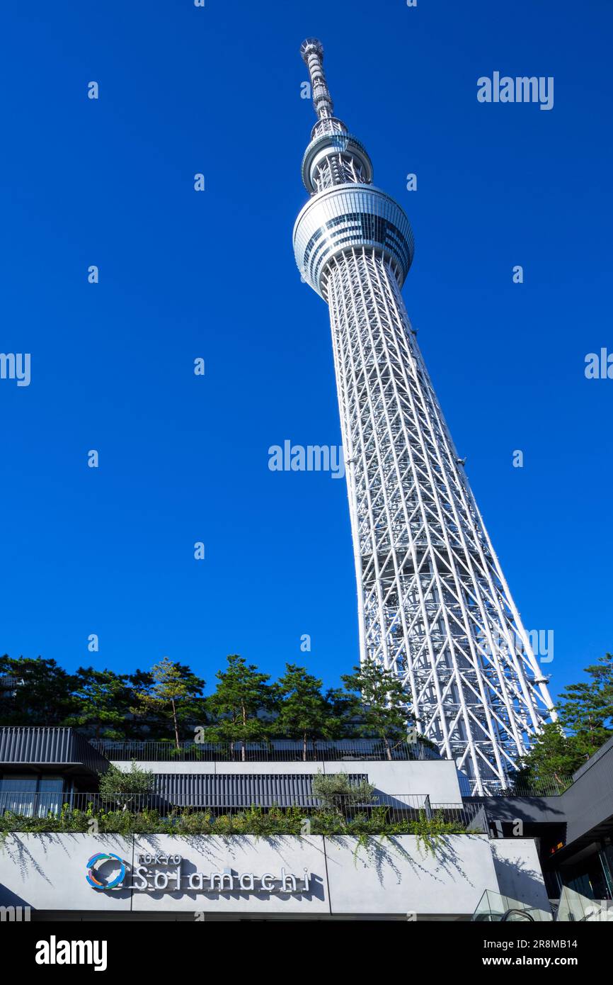 Tokyo Sky Tree Stock Photo - Alamy