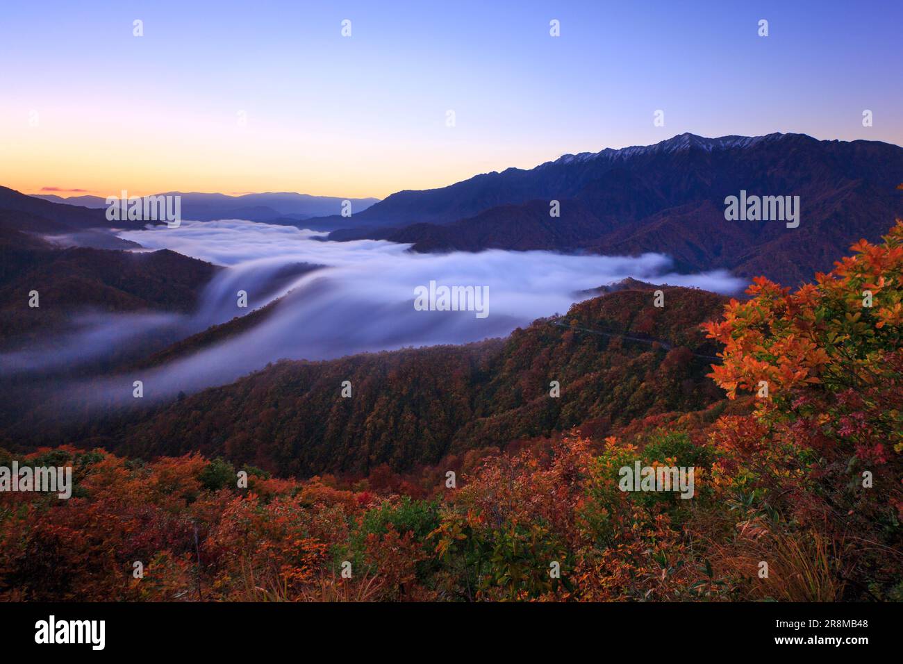 Takigumo hi-res stock photography and images - Alamy