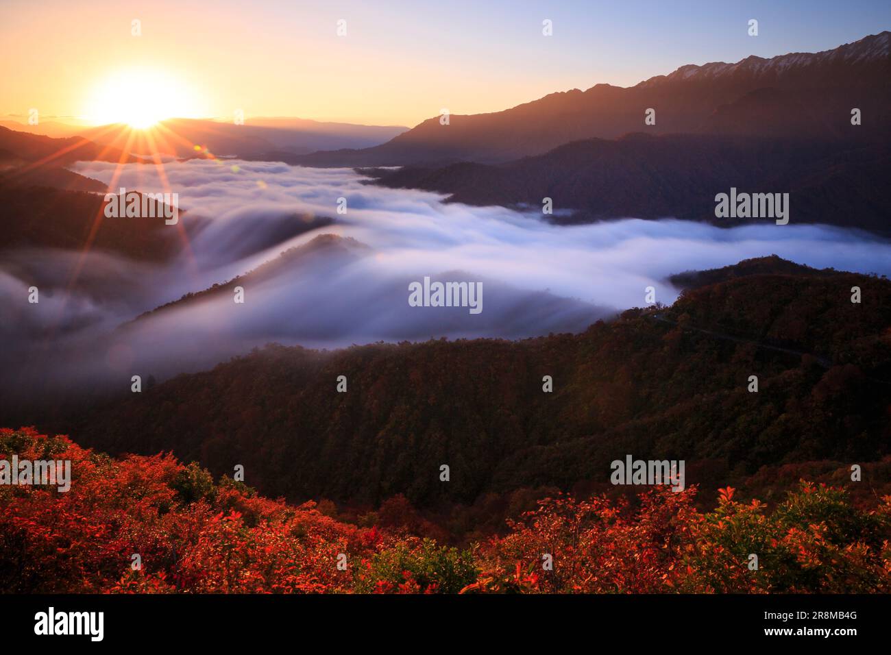 Sea of clouds, morning sun, and the fall foliage of Lake Okutadami seen ...