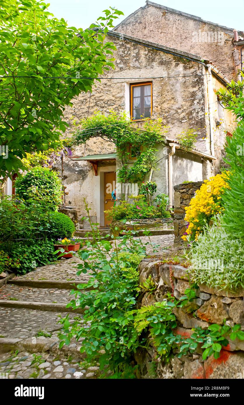 Explore winding hilly streets of old Corte with tiny gardens, flower ...