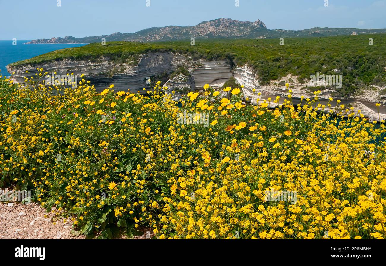 Walk atop limestone cliffs of Bonifacio coast and watch the bright ...