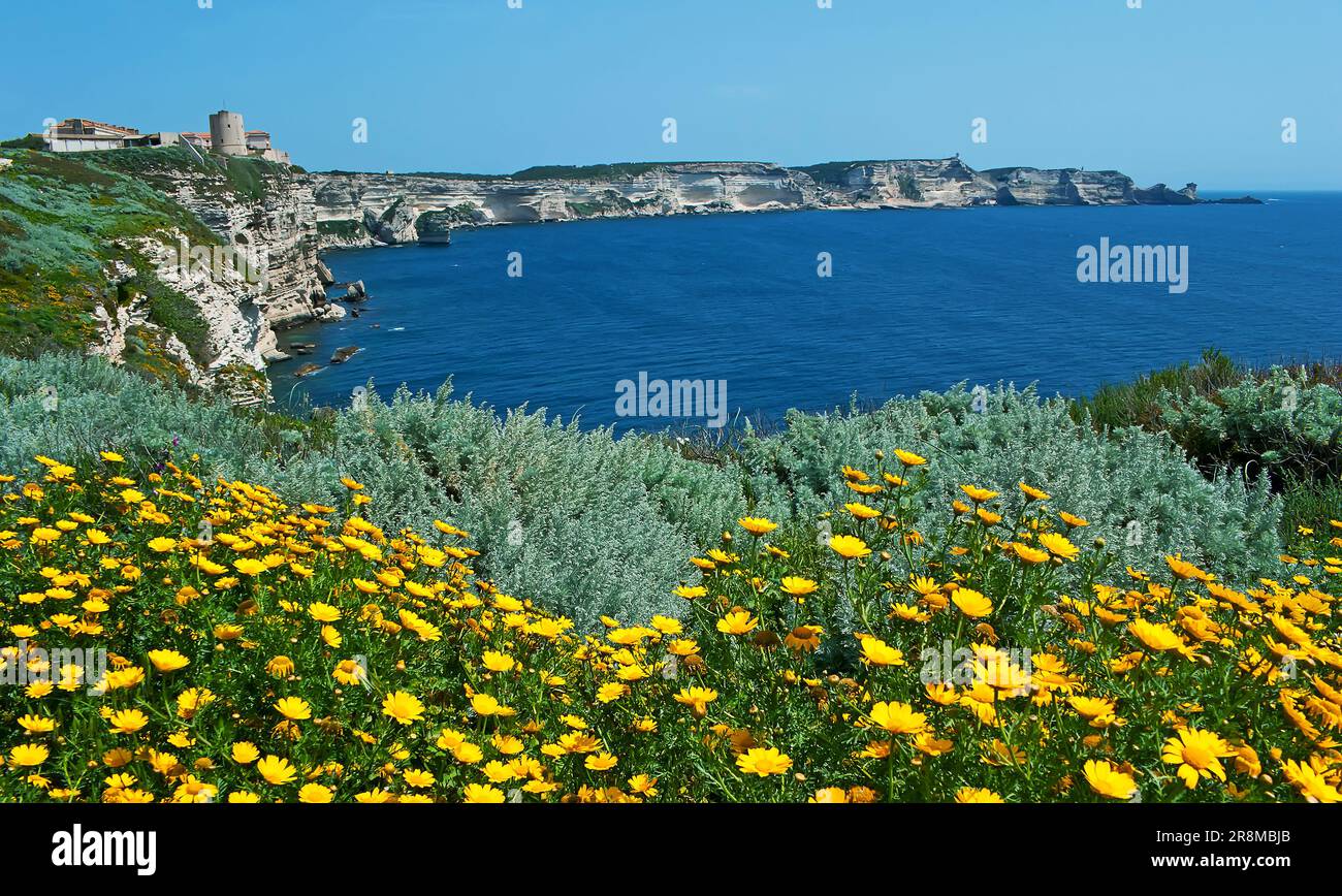 The rippled azure waters of Strait of Bonifacio with a view on ...