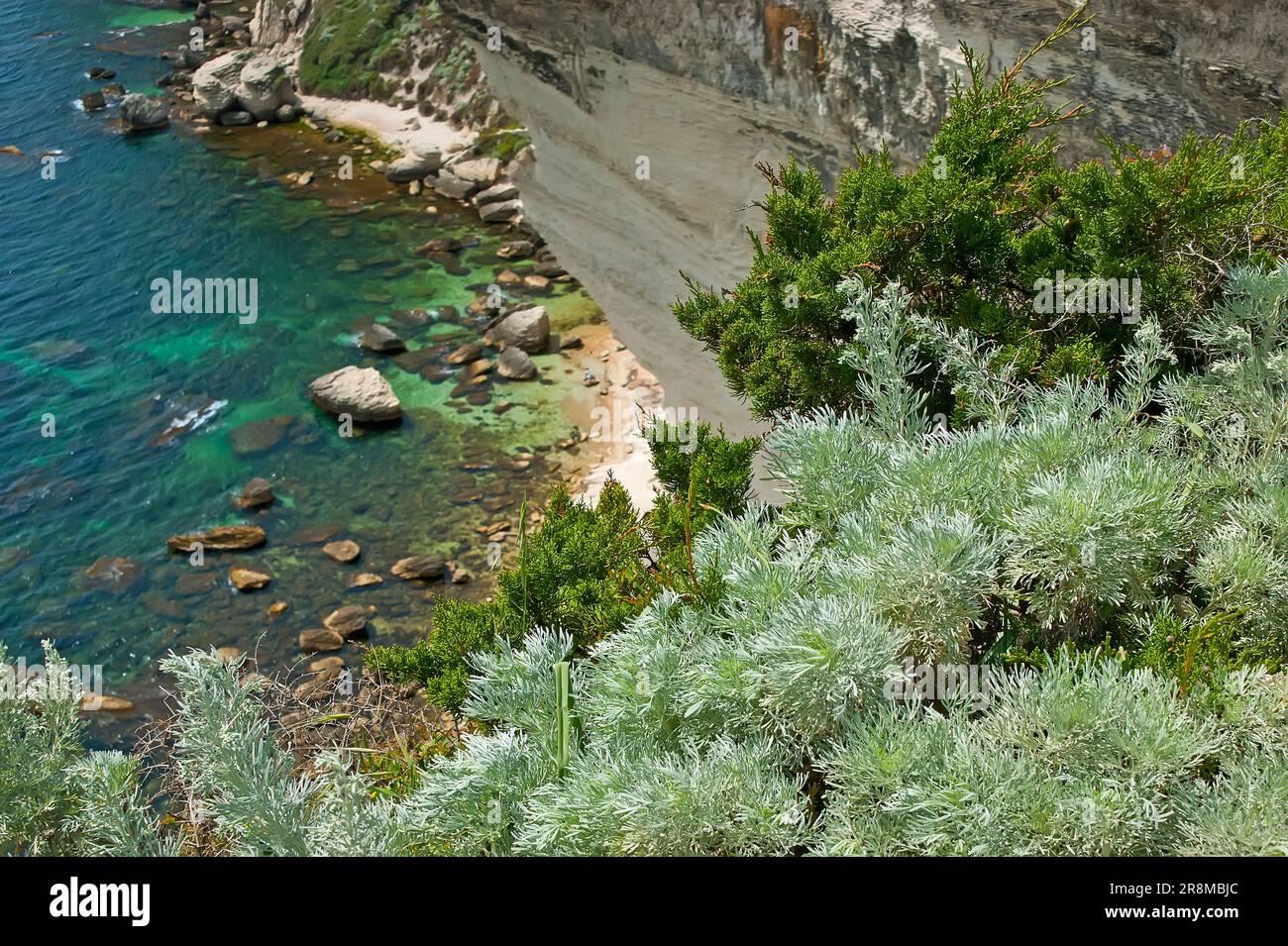 The edge of the white limestone cliff with a view on lush green plants ...
