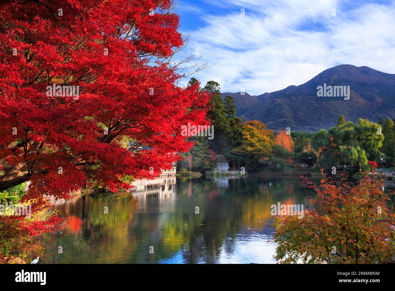 Lake Kinrinko with fall colors in the evening Stock Photo - Alamy