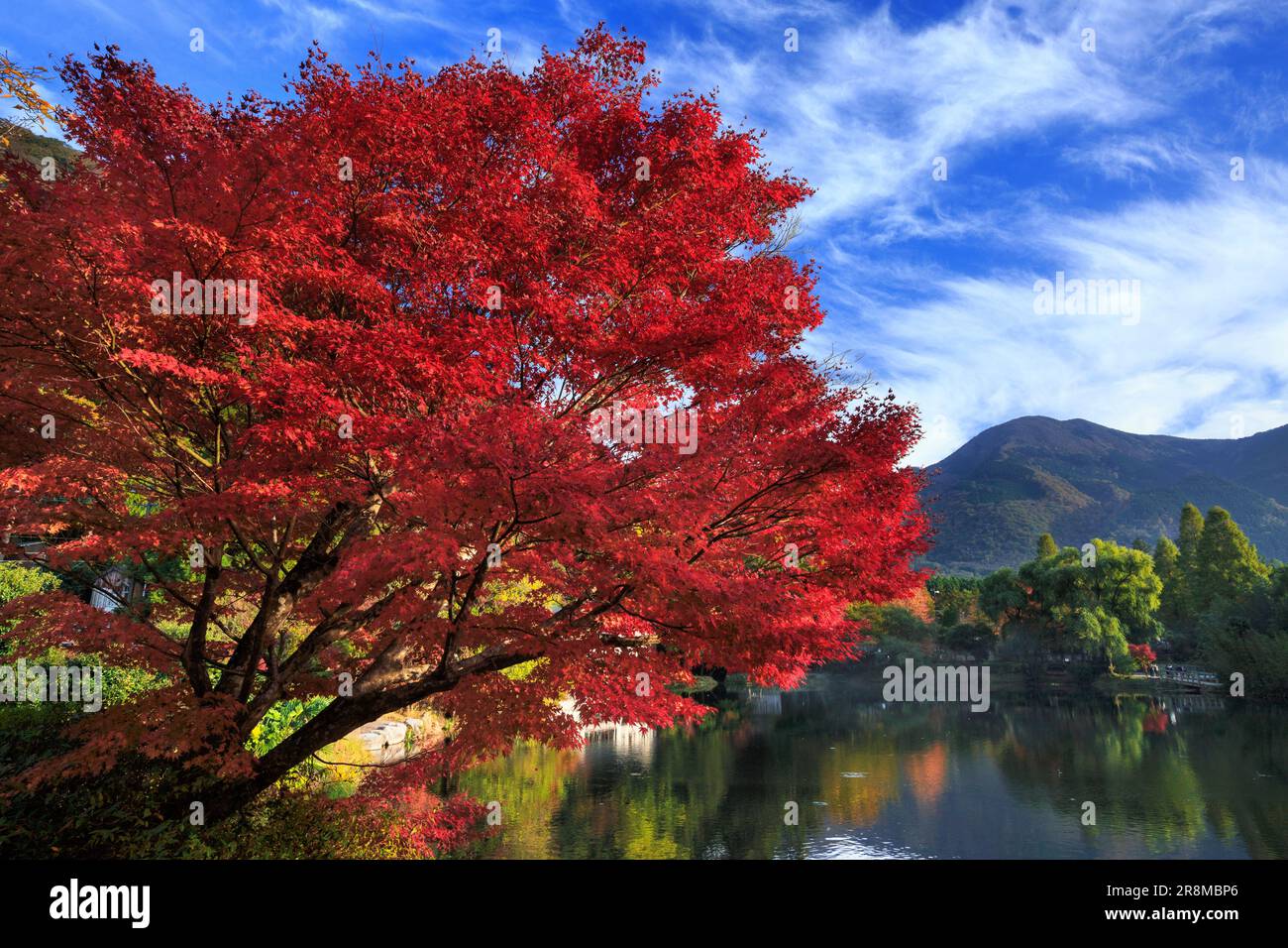 Lake Kinrinko with fall colors in the evening Stock Photo - Alamy