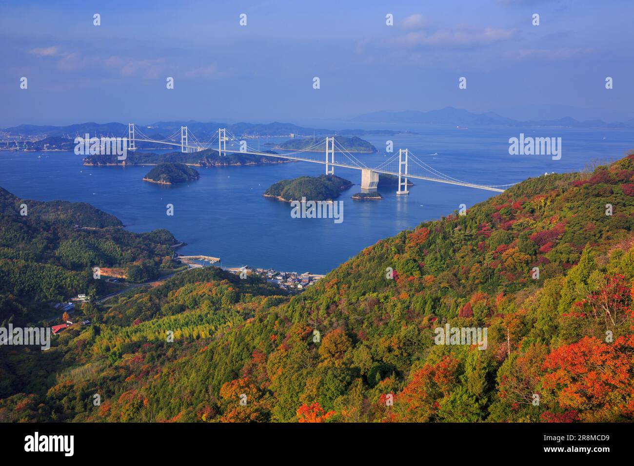 Autumn leaves of Oshima and Kurushima Strait Bridge in the Seto Inland ...