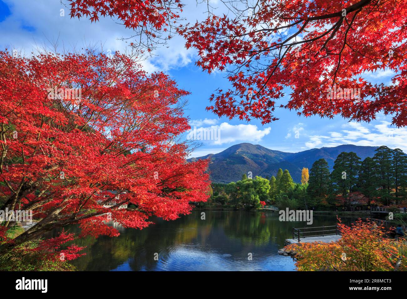 Lake Kinrinko with fall colors Stock Photo - Alamy