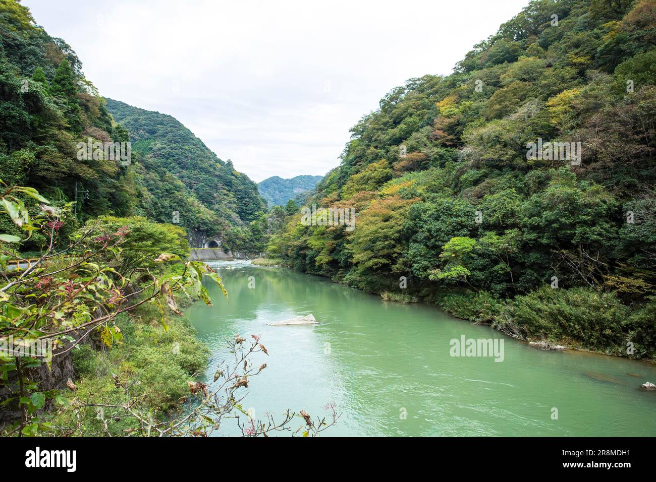 On the Abu river Stock Photo - Alamy