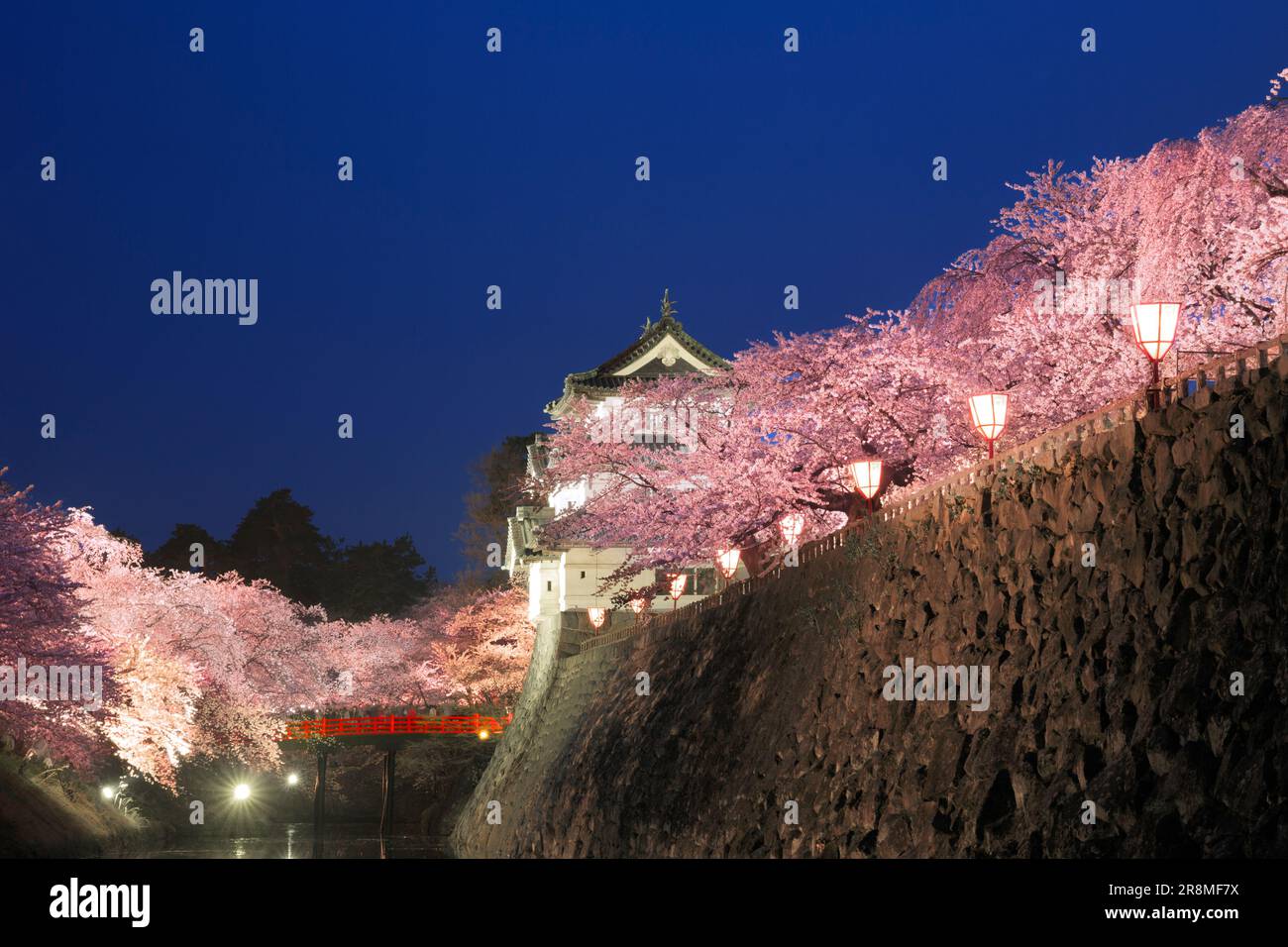 the night view of Hirosakijo castle and cherry blossoms Stock Photo - Alamy