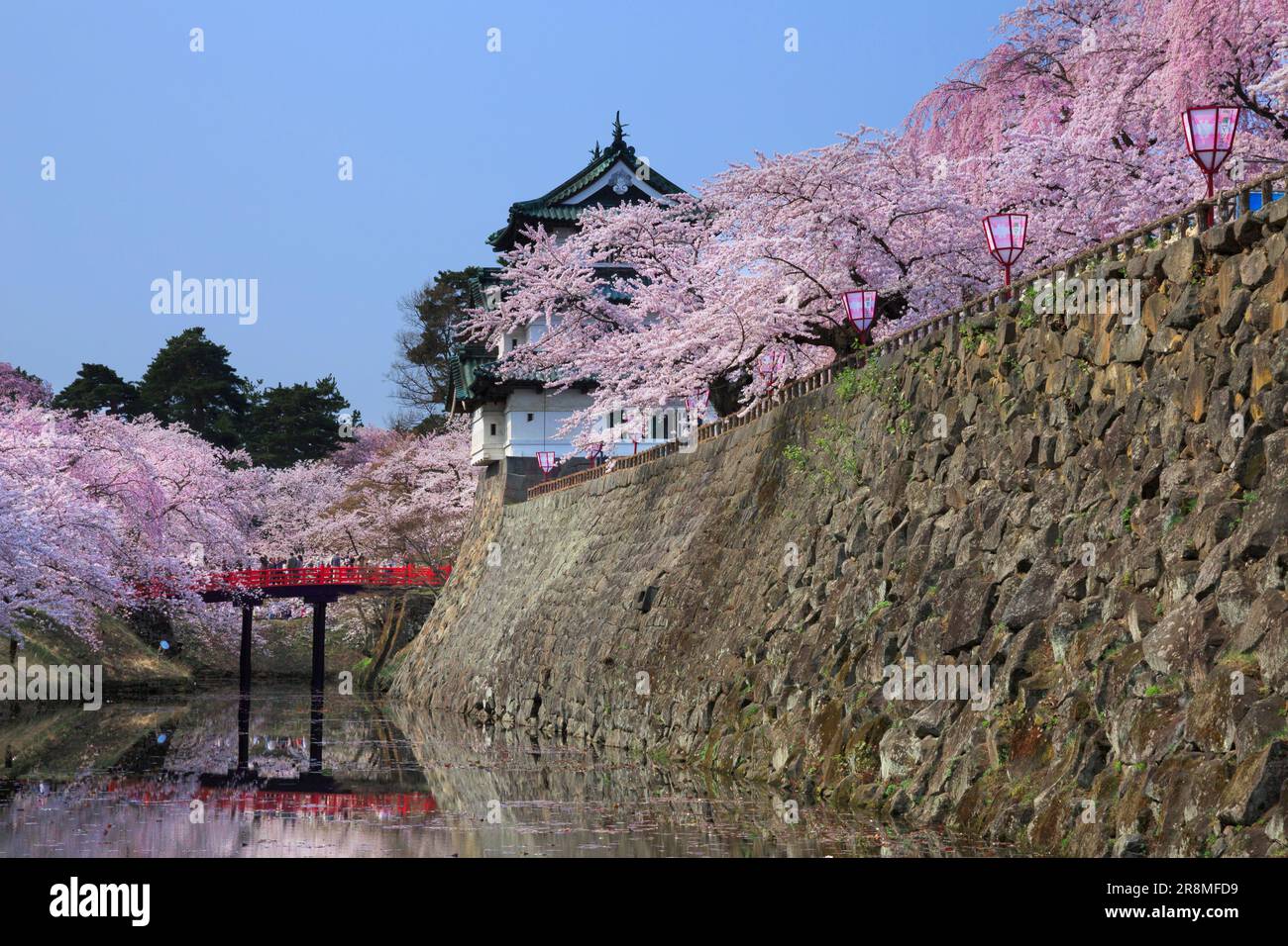 Hirosakijo castle and cherry trees Stock Photo - Alamy