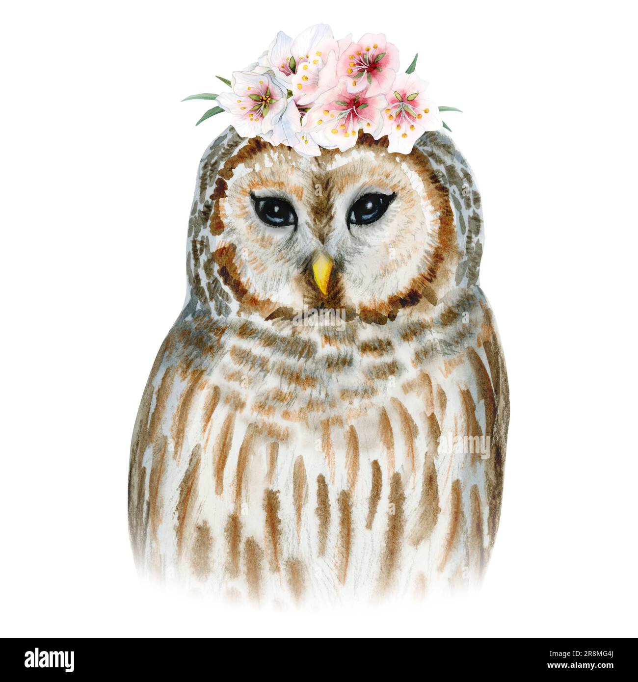 Barred striped owl bird portrait with pink flowers wreath watercolor ...