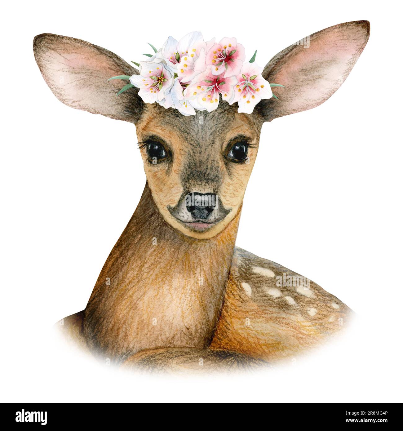 Young baby deer head portrait with pink white flowers wreath ...