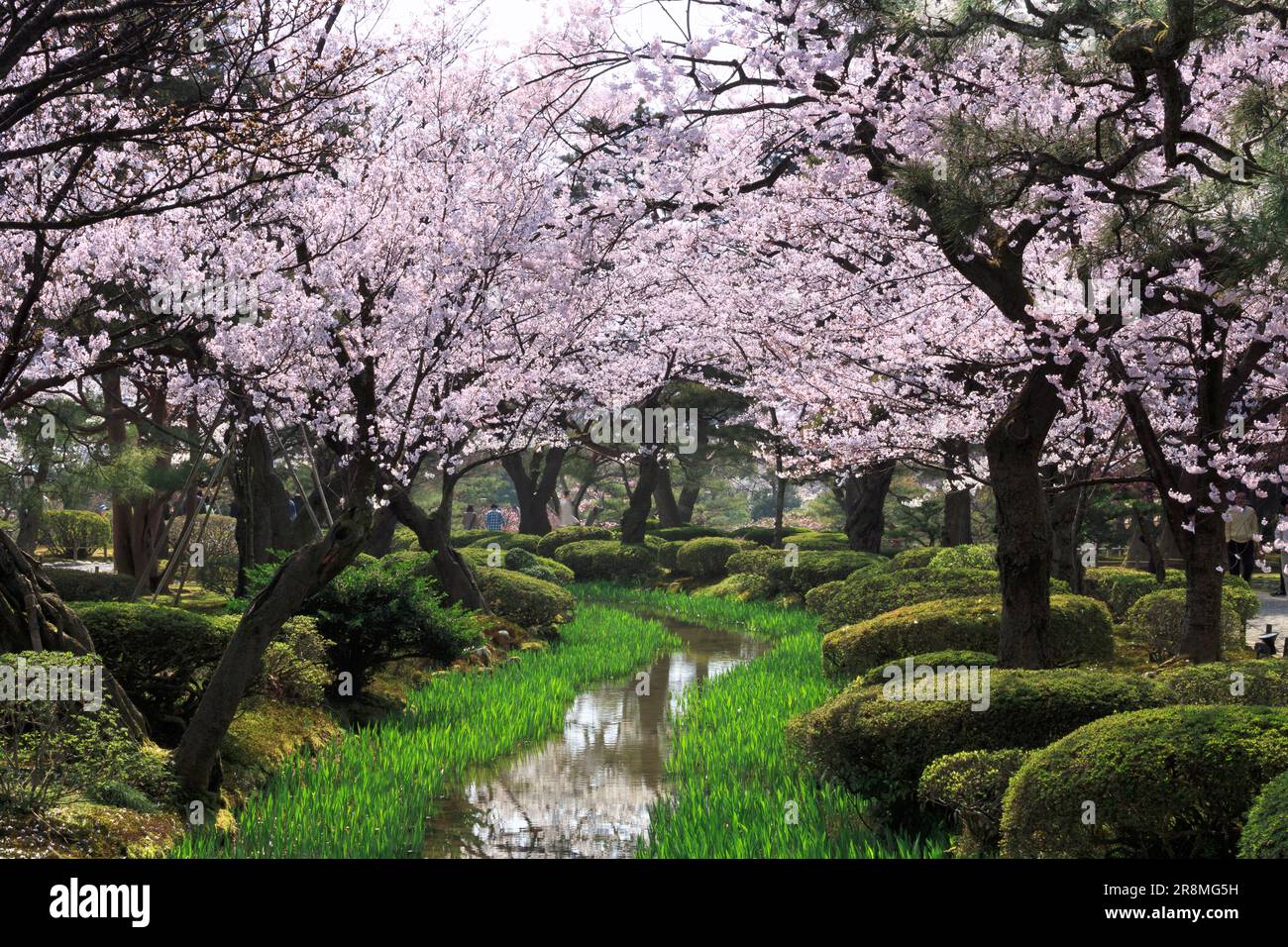 Spring kenrokuen gardens japan hi-res stock photography and images - Alamy