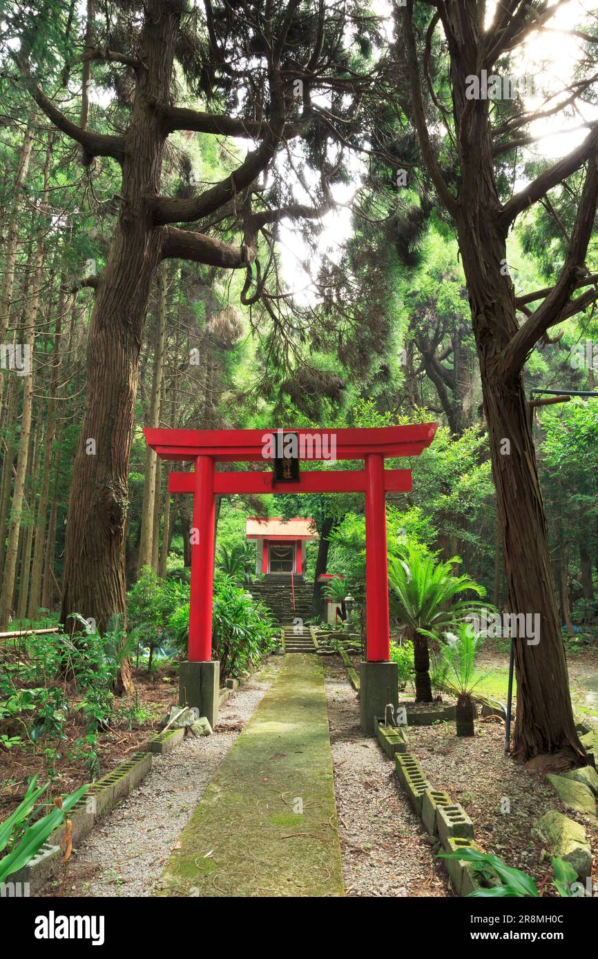 Kagoshima japan shrine hi-res stock photography and images - Alamy