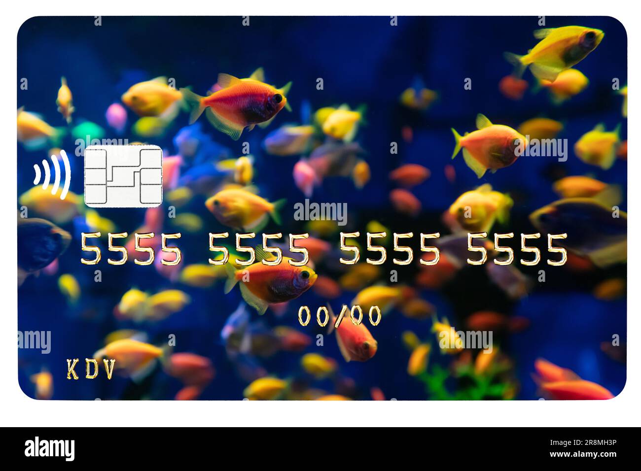 Debit card closeup on transparent background for design purpose Stock ...