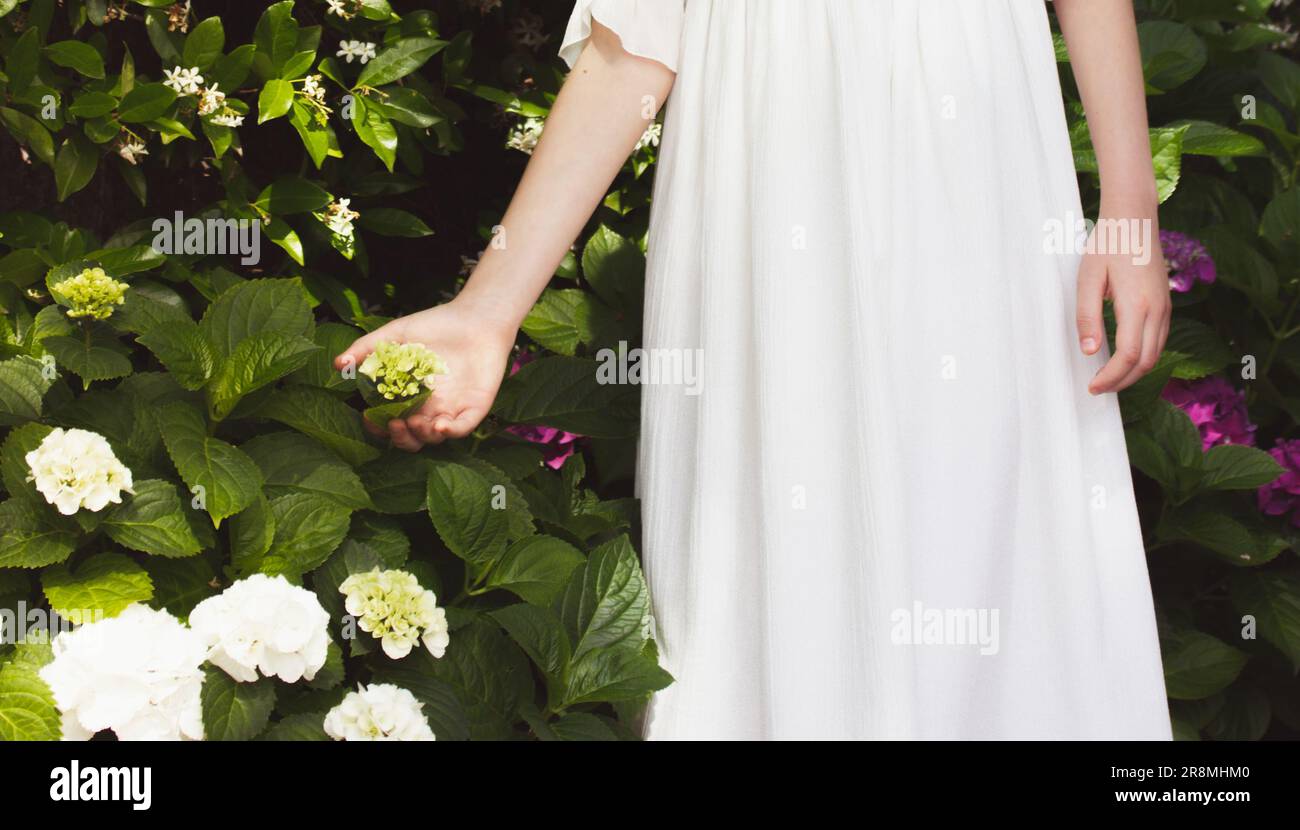 Little girl in white long dress touching flower buds on bushes with her ...